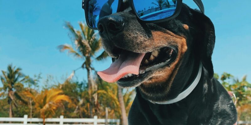 2025 Military Pay Chart for All Ranks - Military Pay Table